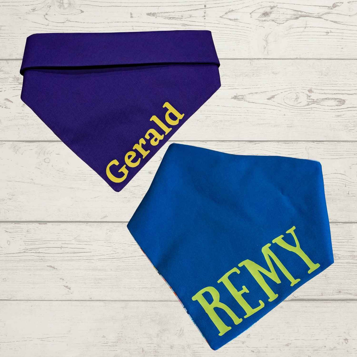 Food Faces Dog Bandana – Bexar Pack Supply Co.